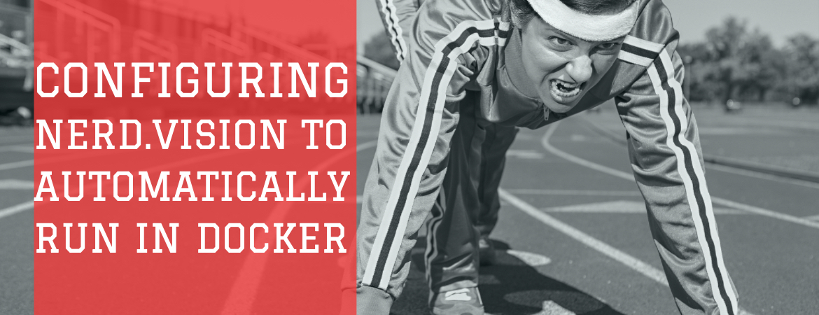 Configuring Nerd Vision To Automatically Run In Docker Nerd Vision
